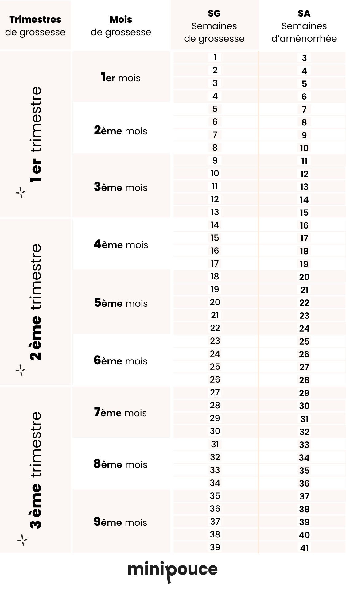 Semaine d’aménorrhée ou de grossesse : calcul simple