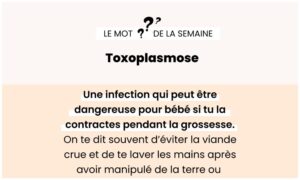 Enceinte, la semaine 6 de grossesse : 8 SA