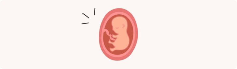 Enceinte, la semaine 22 de grossesse : 24 SA